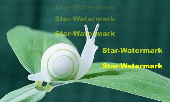 How to creating watermarks with star watermark for macOS?